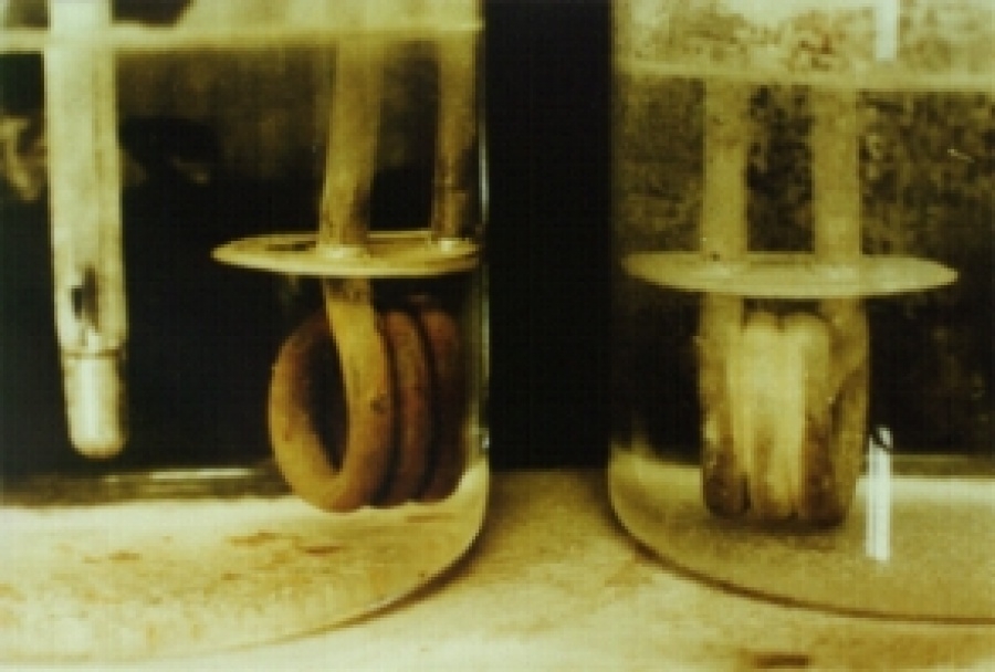 Anti-calcaire électronique D-CALC Plus (4-5 personnes max)